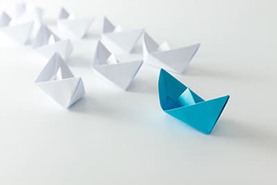 البرامج التدريبية